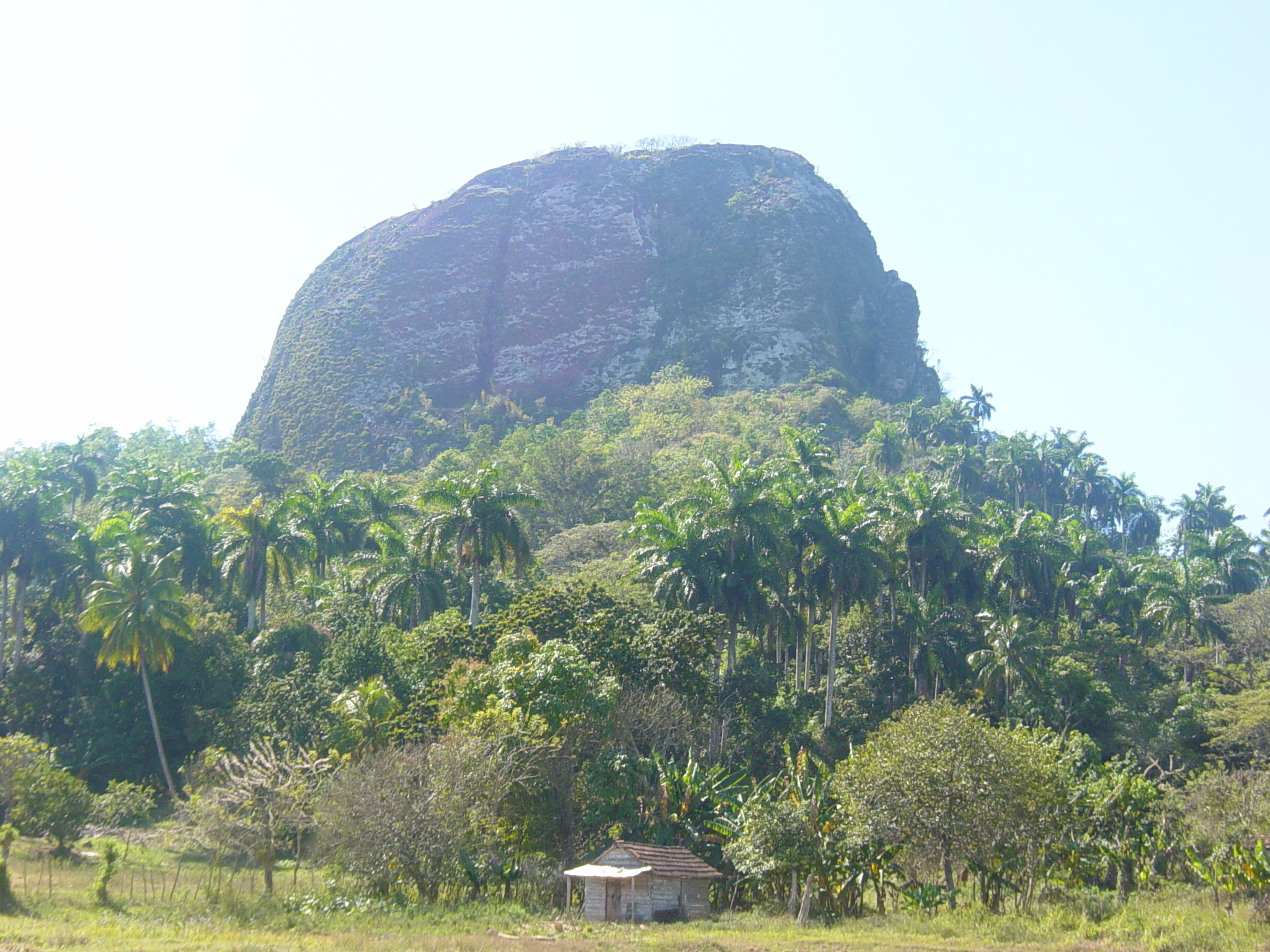 FOMENTO – fomento cuba. cuba.
