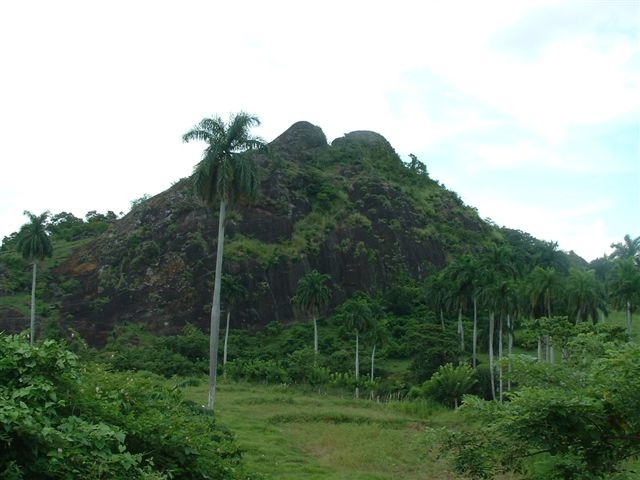 FOMENTO – fomento cuba. cuba.